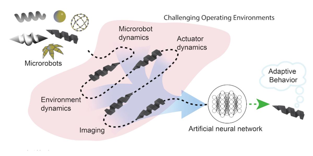 Bio-inspired deep reinforcement learning teaches these smart magnetic microbots to swim