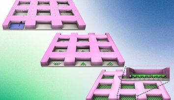 Understanding NPN vs PNP Transistors: A Comprehensive Guide