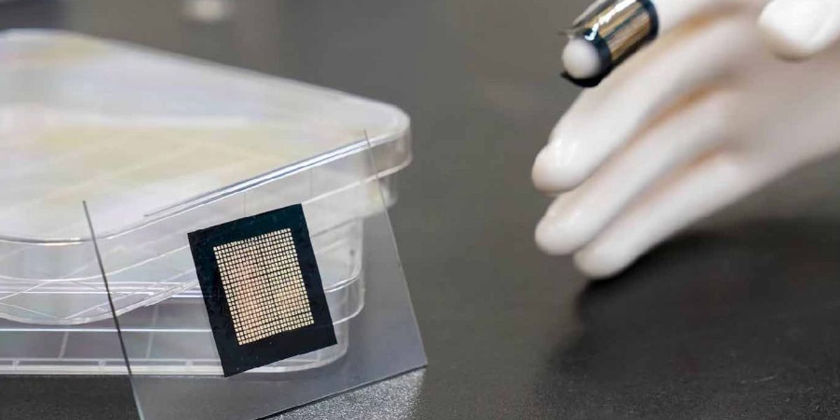 A spectrum of spikes allows this novel electronic skin to sense touch ...