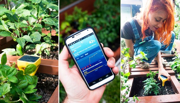 Edyn Garden Sensor