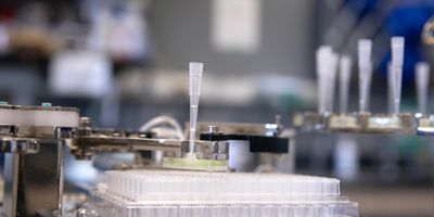 The Four Automation Types You Need to Know