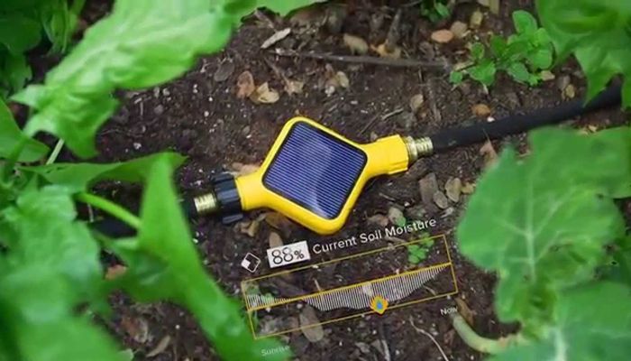 Edyn Garden Sensor