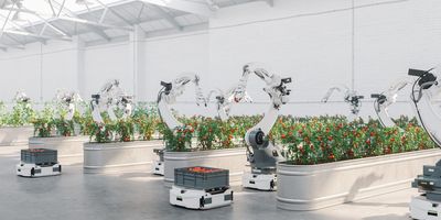 K Band vs Ka Band: Understanding the Differences and Applications in ...