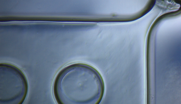 PVD Coating in Semiconductors: A Comprehensive Guide