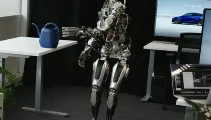 Tesla Bot a.k.a Optimus