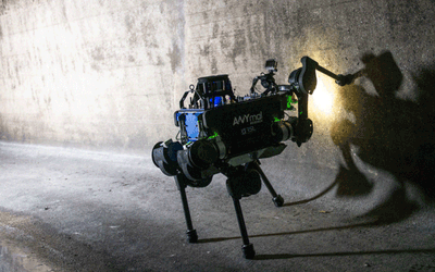 Multigait Soft Robot