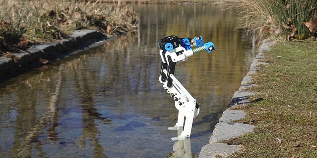 BirdBot, a 3D-printed bipedal robot, offers major efficiency gains ...