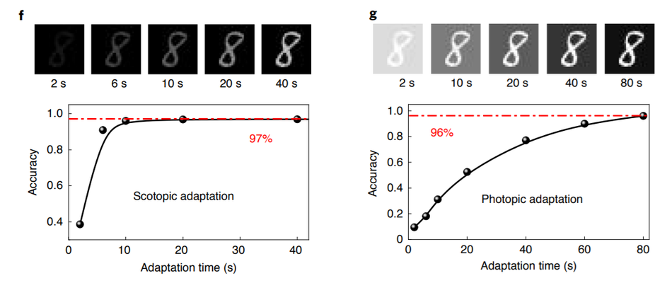 Bio-inspired retina-like sensor with visual adaptation